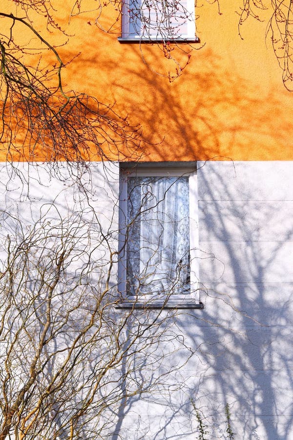 Two Window on Wall, Lower Half of Wall is White, Upper Half is Orange ...