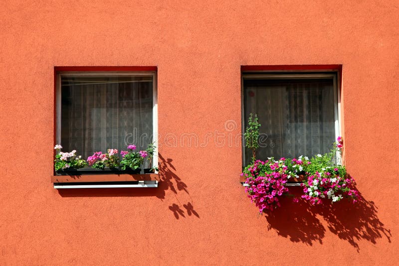 Two Windows on the Orange Wall Decoration with Flowers Stock Image ...
