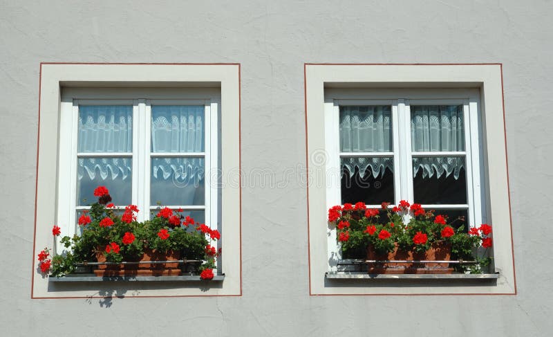 Two Windows with Red Flowers Stock Photo - Image of home, decor: 6521960