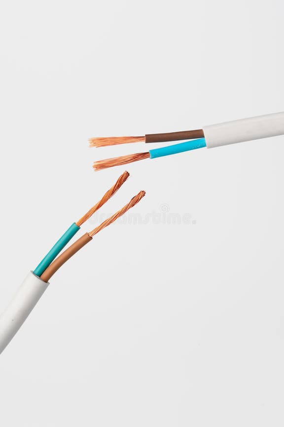 Two-Wire Electrical Cable with Exposed Copper Strands Stock Photo ...