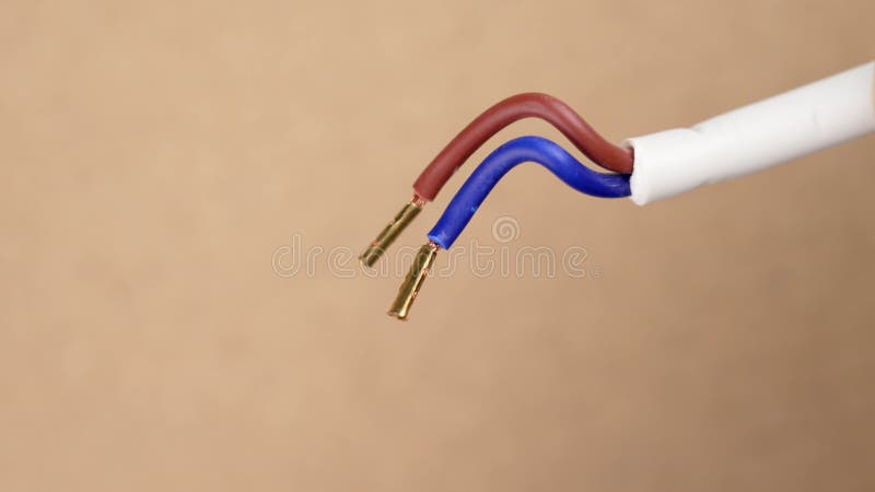 Two-wire Electrical Cable with Exposed Terminals Red and Blue Wires in ...