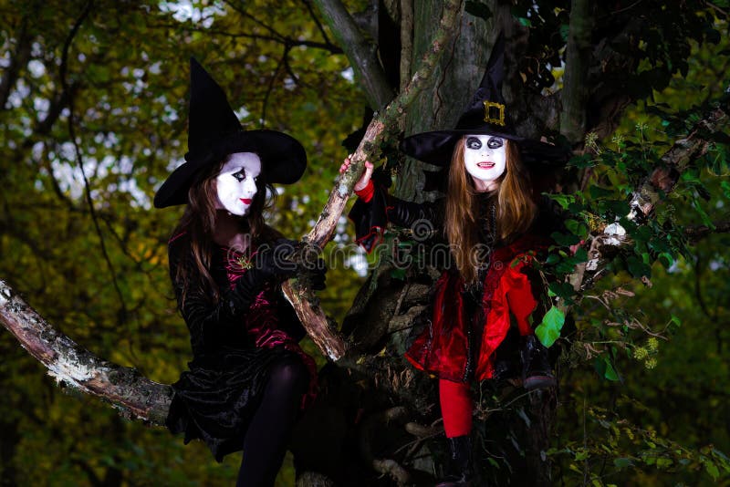 Two Witches Sitting on the Tree Stock Photo - Image of mysterious ...