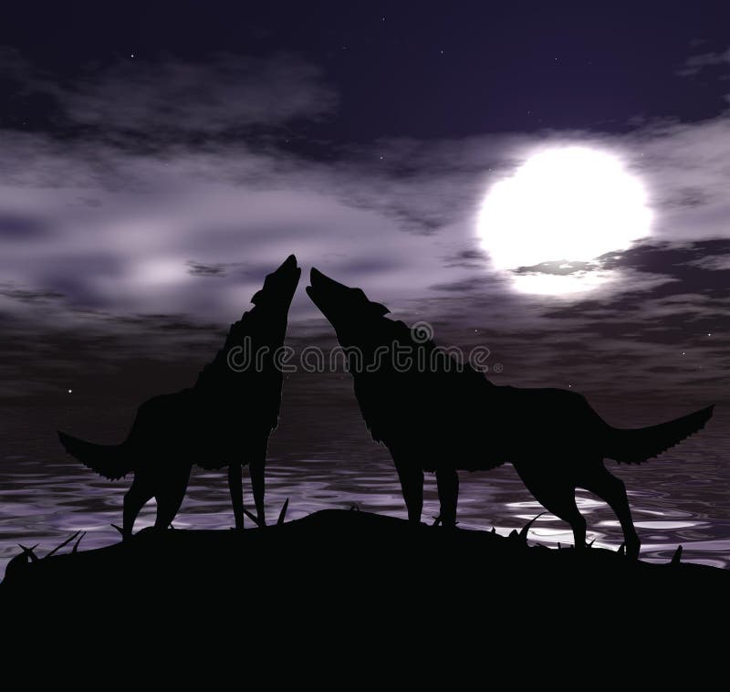 Two wolves stock illustration. Illustration of head, flies - 18404981