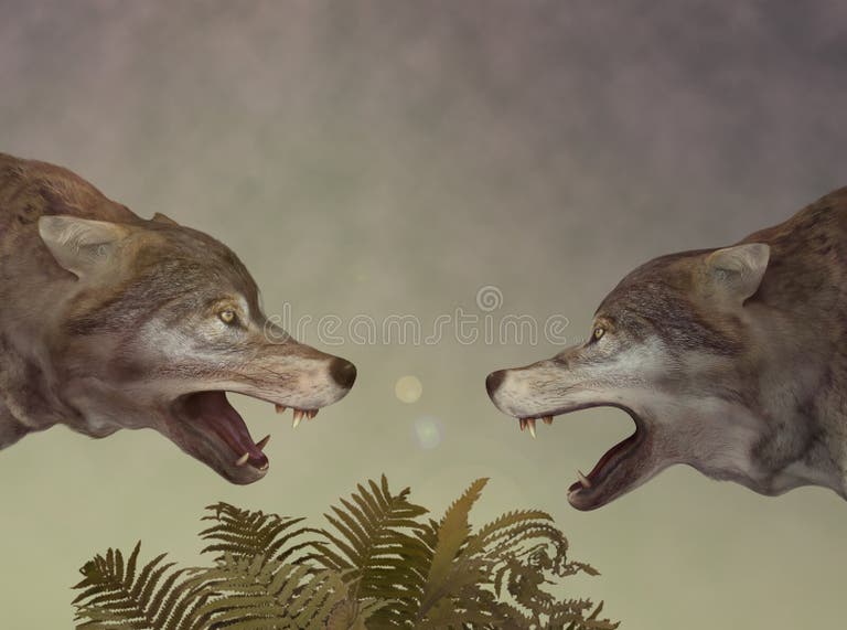 Ferocious Wolves Stock Illustrations – 151 Ferocious Wolves Stock ...