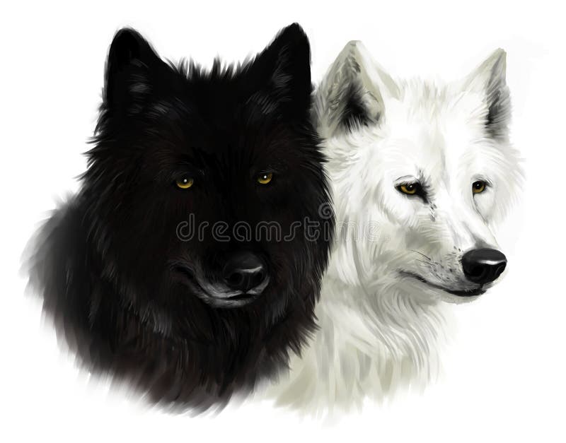 Two wolves stock illustration. Illustration of mammal - 44061367