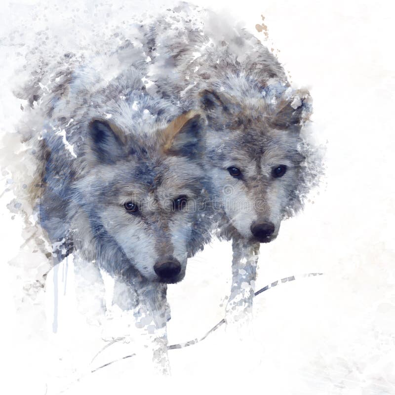 Watercolor Wolf Two Stock Illustrations – 18 Watercolor Wolf Two Stock ...