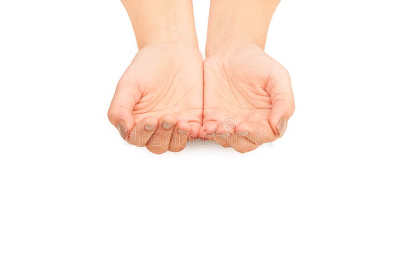 Hands, Asking or Palms of Person for Charity, Florist or Begging for ...