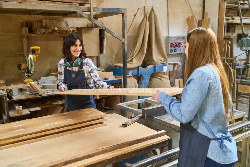 Two Women Collaborating in a Busy Lumberyard Workshop Stock Photo ...