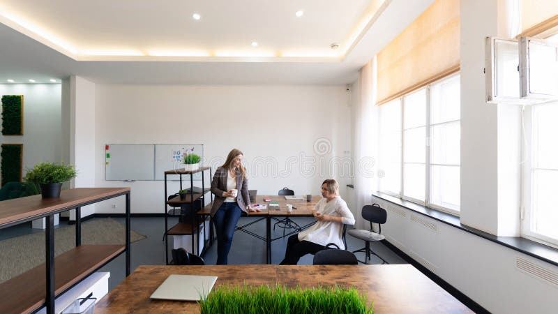 Two Women Collaborating in a Modern Workspace with Plants and Natural ...