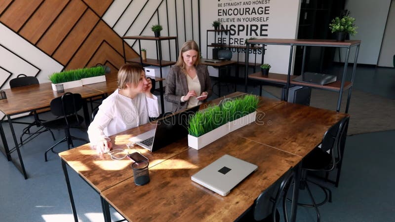 Women Working in a Modern Co-working Space with Greenery and ...