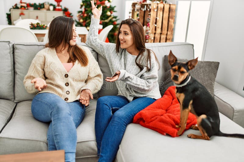 Two Women Having Conversation Sitting with Dog by Christmas Tree at ...