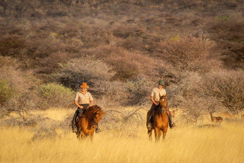 Two Women Riding Horses Watched by Impala Stock Photo - Image of horse ...