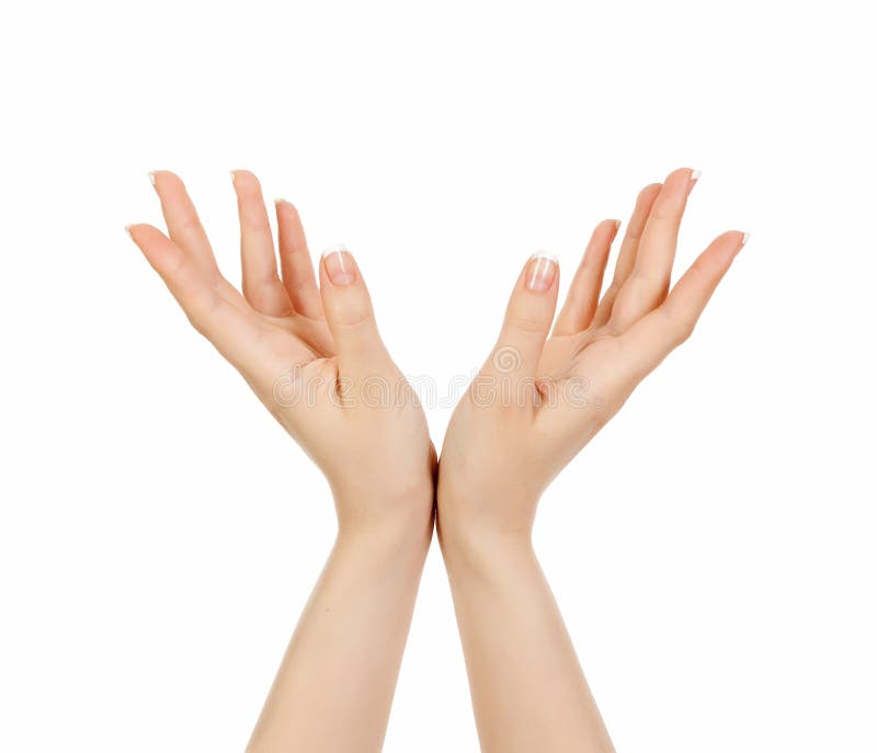 Two elegant woman hands stock photo. Image of beautiful - 4496194