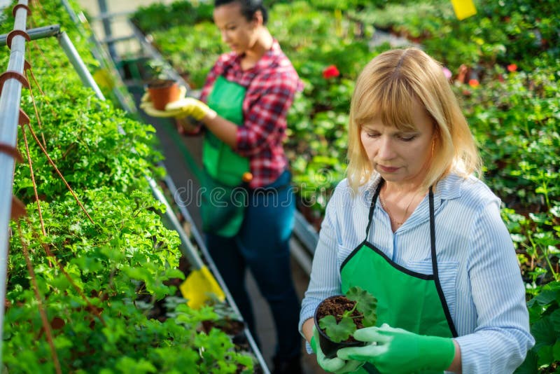 Two Women Working in a Botanical Garden Stock Photo - Image of flower ...