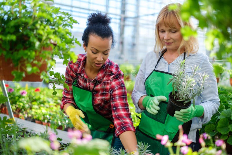 Two Women Working in a Botanical Garden Stock Image - Image of ...