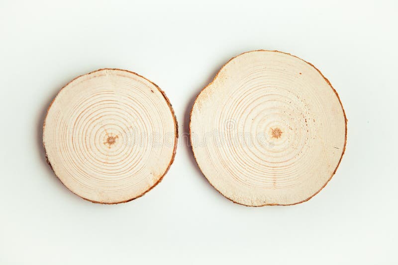 Two Wood Cuts, Round Shape on the White Background. Round Wooden Saw ...
