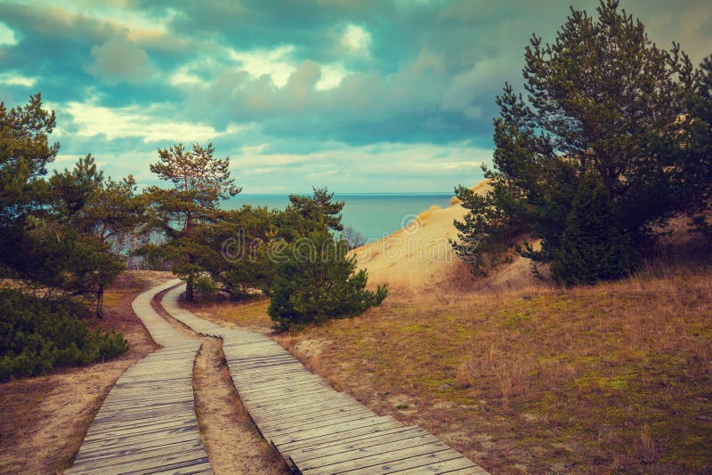 Pathways in the Park stock image. Image of relax, park - 649557