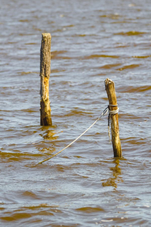 Two Wooden Piles in the Lake during the Day Stock Photo - Image of ...