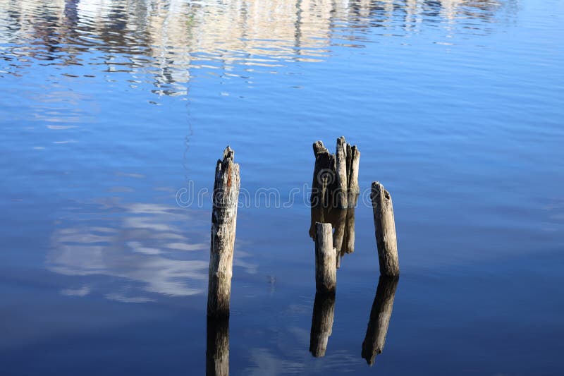 Two Wooden Poles Protruding from the Water S Surface Stock Image ...