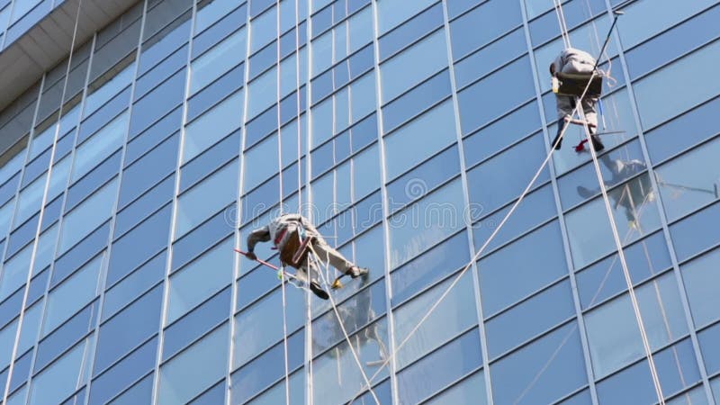 Two Workers Hang on Ropes and Wash Windows of Stock Footage - Video of ...