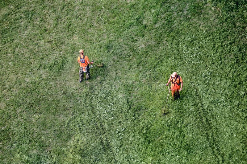 Two Workers with a Lawn Mower Mows the Grass, Top View. Mans in an ...