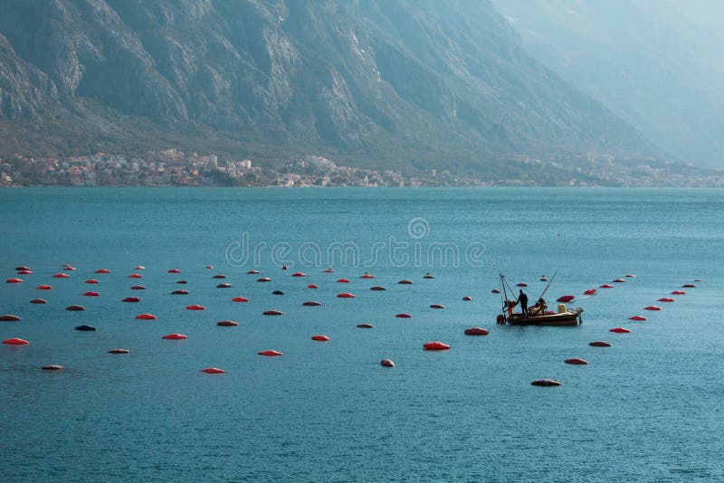 Two Workers of Mussel and Fish Farm Stock Photo - Image of fishfood ...