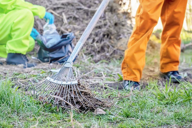 Two Workers Pick Up Trash in a Park Stock Image - Image of package ...