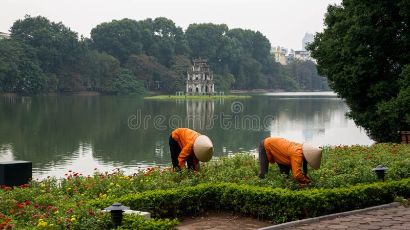 Two Workers Pluck Weeds in Front of Turtel Tower, Vietnam Editorial ...