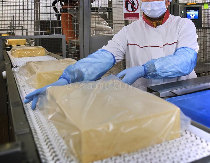 Two Workers Start Making Blocks of Cheese in a Factory Stock Image ... Two Workers Start Making Blocks of Cheese in a Factory Stock Image ...