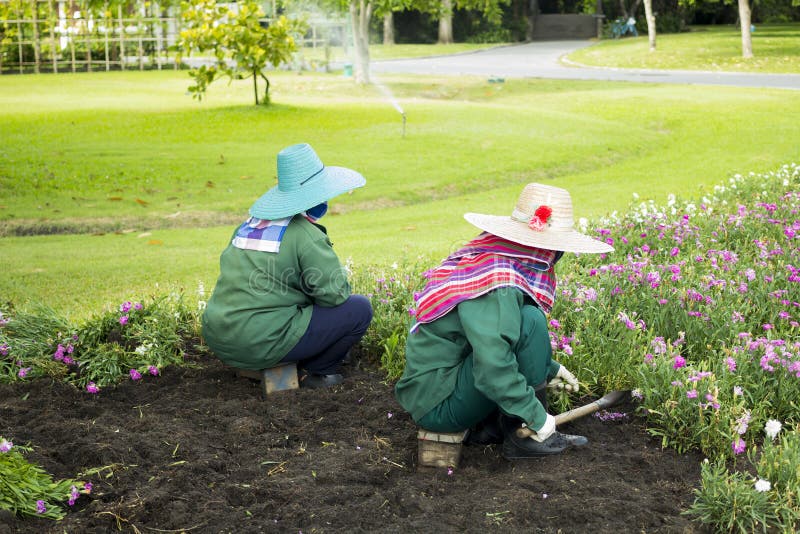 Two Workers Taking Care of a Flower Garden Stock Photo - Image of care ...