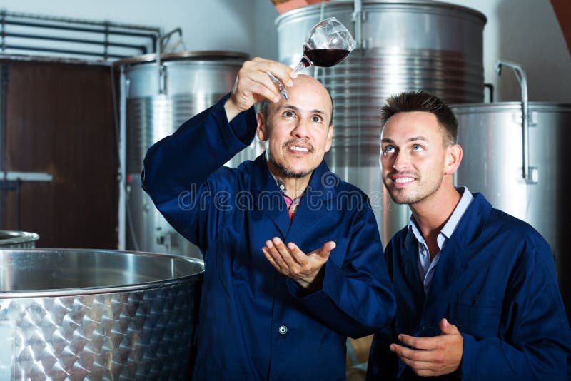 Two Workers on Wine Factory Stock Image - Image of holding, coat: 78312249