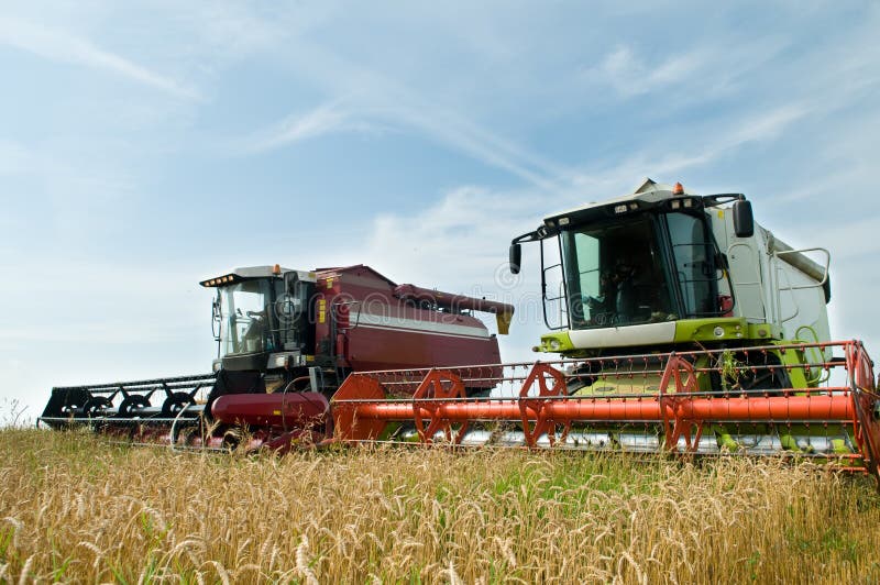 Harvesting Combine in the Wheat Stock Image - Image of harvesting, seed ...