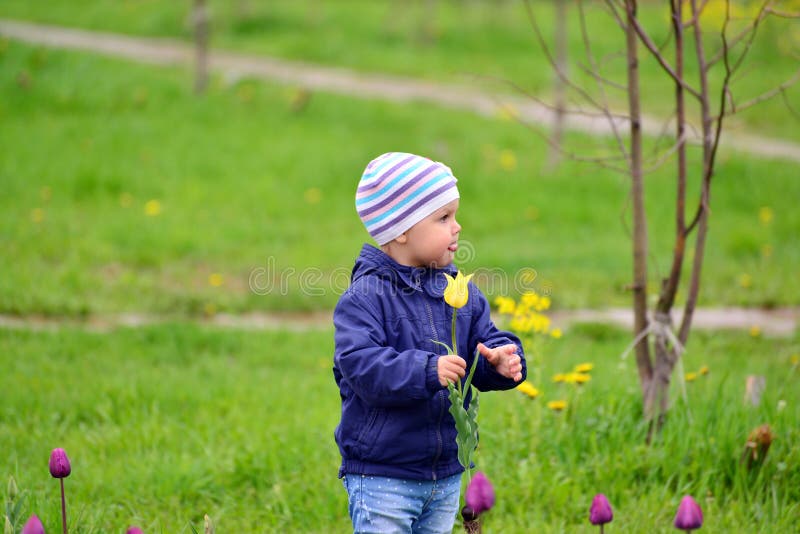 Two Year Old Girl on Walk in the Park Stock Image - Image of little ...