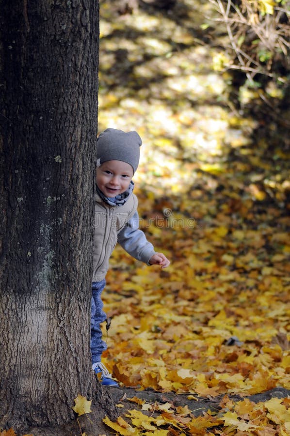 Two Years Old Boy Looks Out Behind a Tree Stock Image - Image of ...
