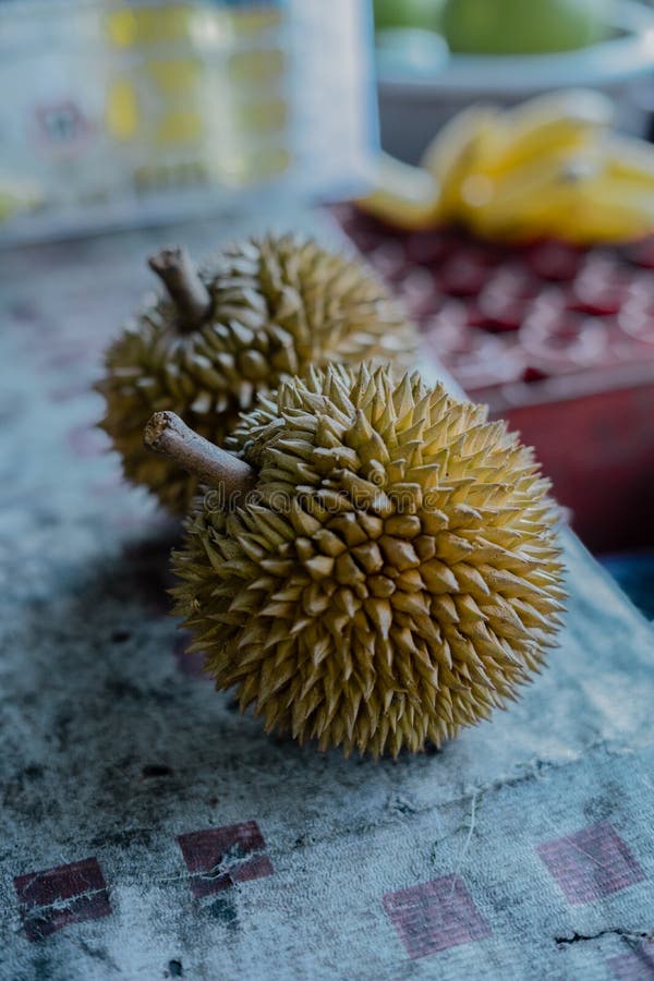 Durian lies on the table stock photo. Image of lies - 184217900