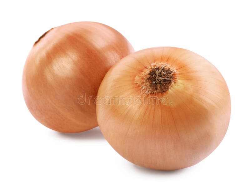 Two Yellow Fresh Onions Isolated on White Stock Photo - Image of ...