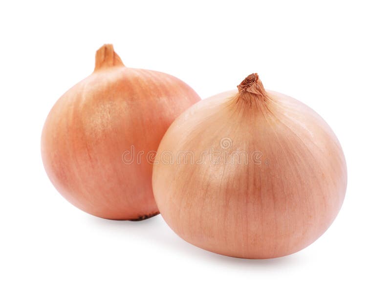 Two Yellow Fresh Onions Isolated on White Stock Image - Image of ...