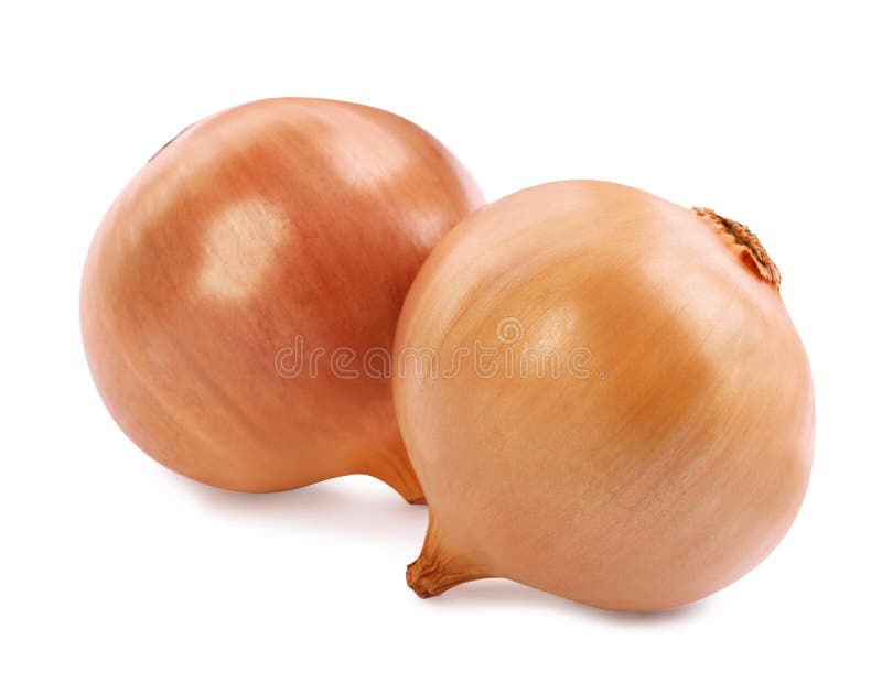 Two Yellow Fresh Onions Isolated on White Stock Image - Image of ...