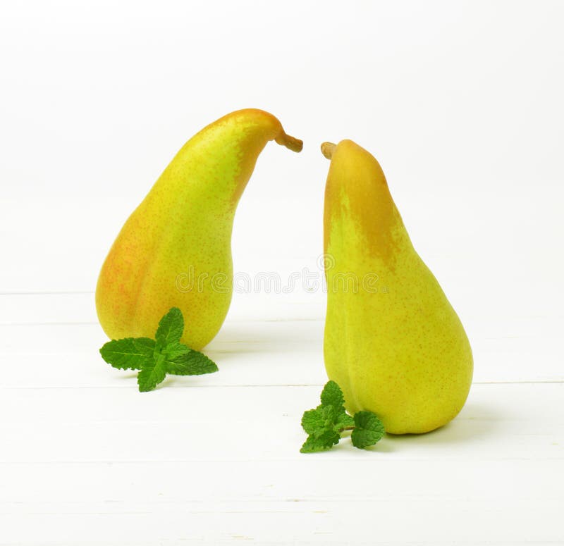 Two yellow pears stock photo. Image of healthy, stem - 93315638