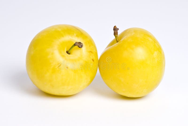 Two Yellow Plums stock image. Image of diet, ripe, healthy - 6288687