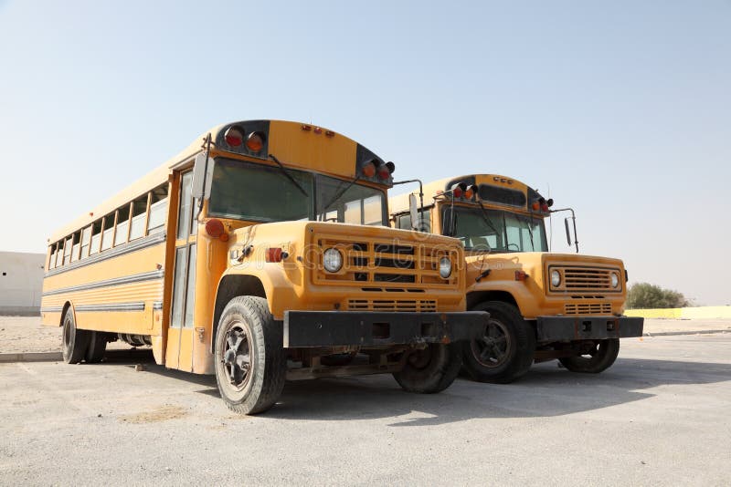Two yellow school buses stock image. Image of transportation - 37722811