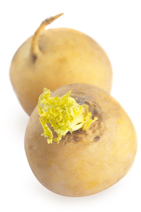 Yellow turnips stock photo. Image of beet, green, ripe - 50372364