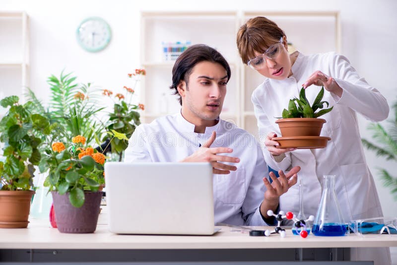 The the Two Young Botanist Working in the Lab Stock Photo - Image of ...