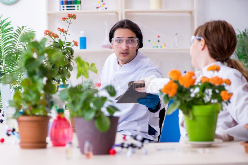 Two Young Botanist Working in the Lab Stock Image - Image of planting ...