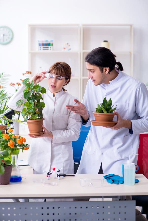 Two Young Botanist Working in the Lab Stock Image - Image of botany ...