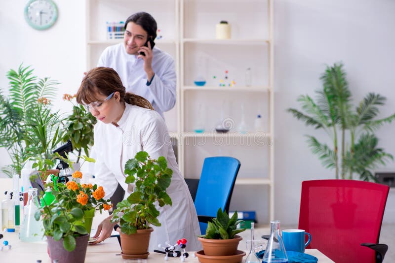 Two Young Botanist Working in the Lab Stock Image - Image of grass ...