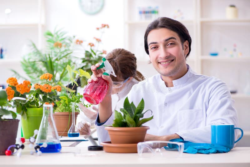 Two Young Botanist Working in the Lab Stock Photo - Image of research ...