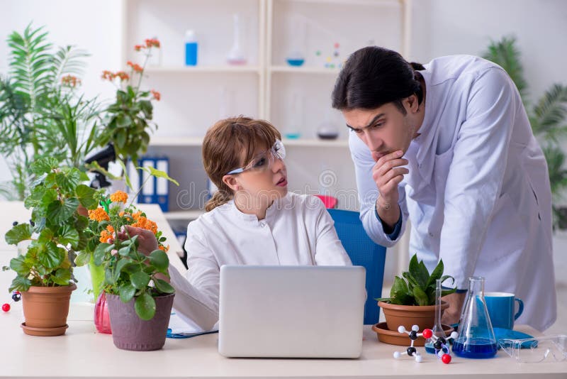 Two Young Botanist Working in the Lab Stock Photo - Image of botany ...