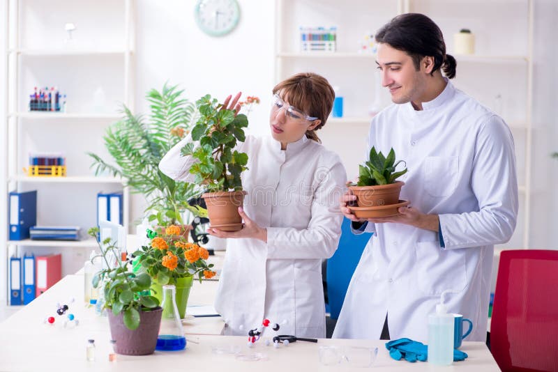 Two Young Botanist Working in the Lab Stock Photo - Image of botanist ...