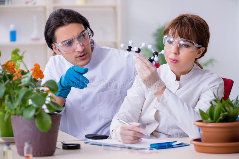 Two Young Botanist Working in the Lab Stock Photo - Image of ...
